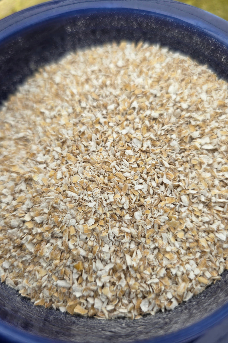 Oat Germ – Three Sisters Garden